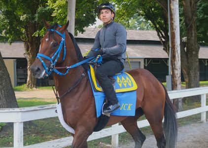Gangly | America's Pastime Stables