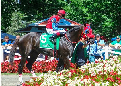 Past Horses | America's Pastime Stables