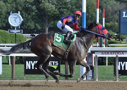 Past Horses | America's Pastime Stables