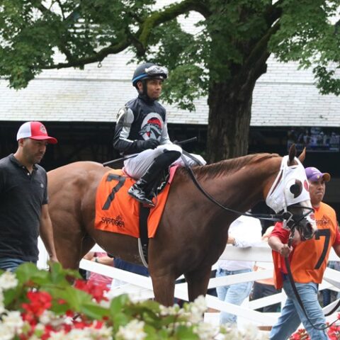 Turnsandconditions | America's Pastime Stables